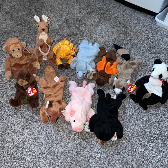 Ty | Toys | Ty Beanie Babies Zoo Animals Bundle | Poshmark
